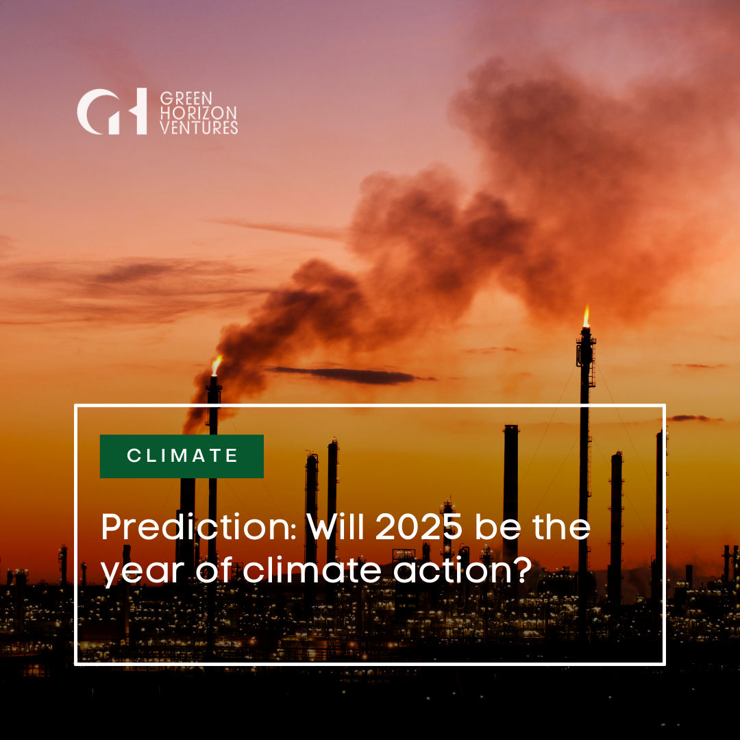Will 2025 be the year of absolute climate action? - Green Horizon Ventures